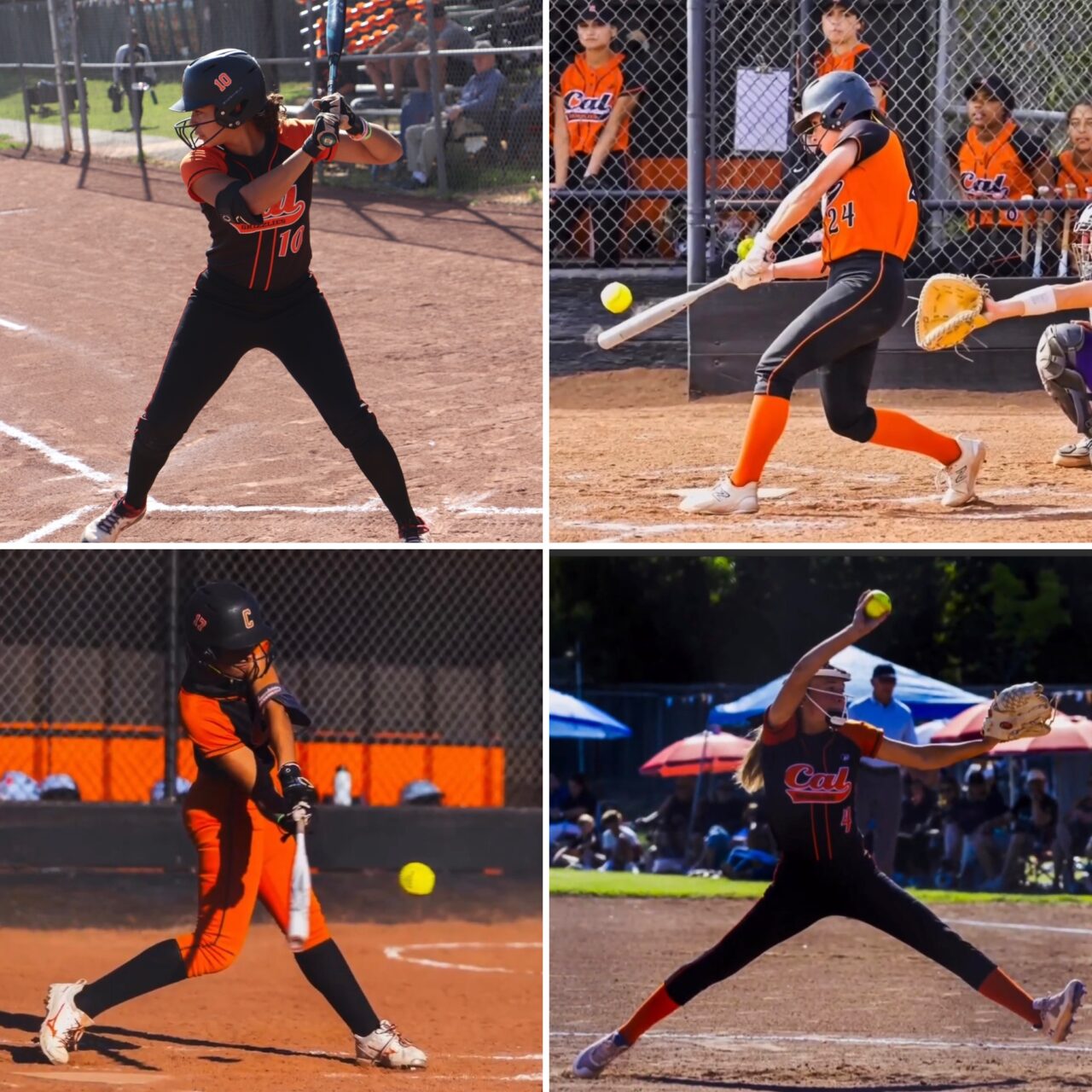Cal High Softball | California High School Softball